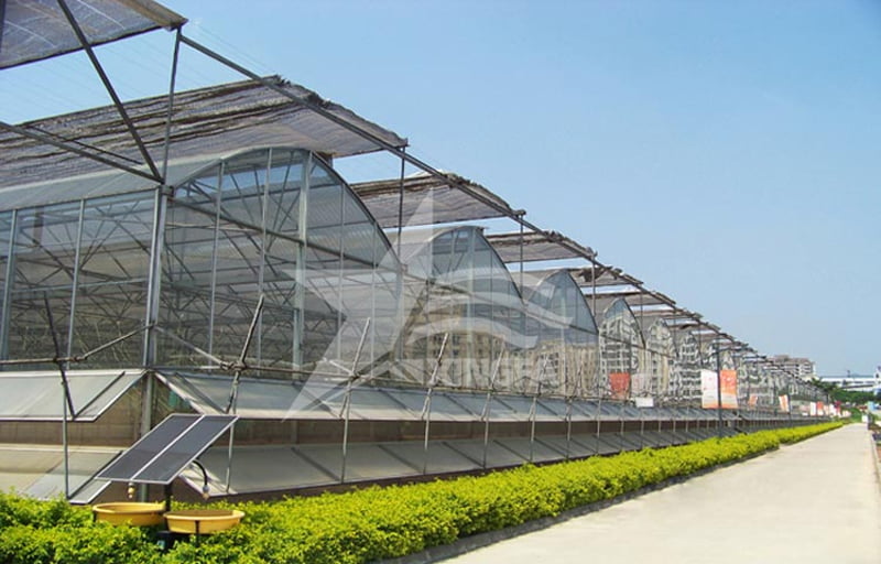 The difference between daylighting tiles and transparent tiles - XINGFA