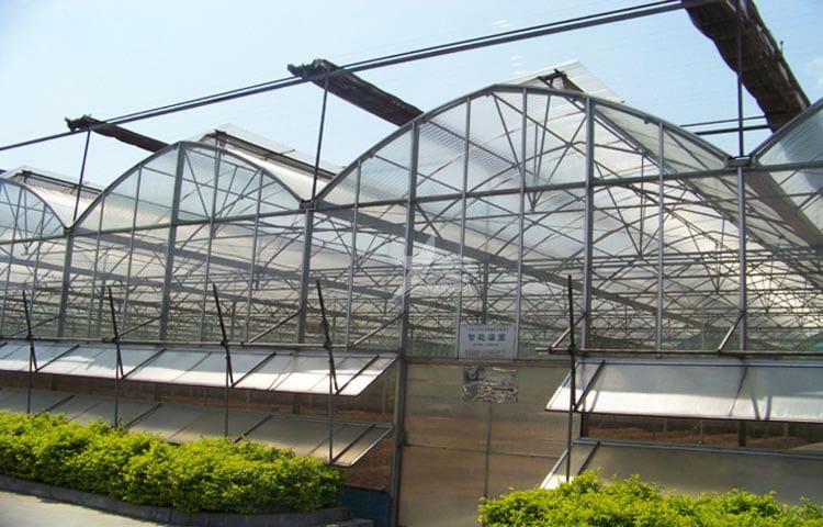 The difference between daylighting tiles and transparent tiles - XINGFA